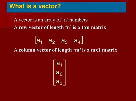 Ppt A Rectangular Array Of Numbers We Will Concentrate On Real