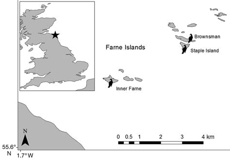 Locations Of Breeding Colonies Shag Icons In The Farne Islands Where