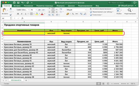 Расширенный фильтр в Excel Как применять как отменить расширенную фильтрацию