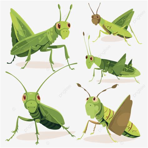 메뚜기 클립 아트 작은 곤충 메뚜기 벡터 일러스트 만화 메뚜기 클립 아트 만화 Png 일러스트 및 벡터 에 대한 무료 다운로드 Pngtree