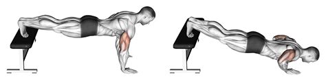 Incline Vs Decline Push Ups Differences Explained Inspire Us