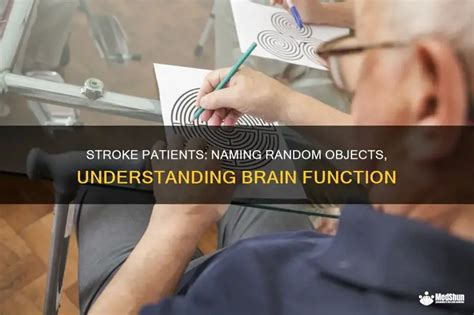 Stroke Patients Naming Random Objects Understanding Brain Function