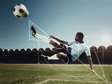 Careers In Health Sport Science Careers With Stem