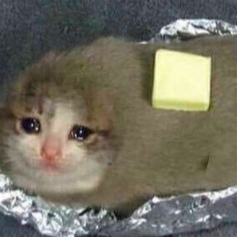 Rachel Eckhardt Youtube