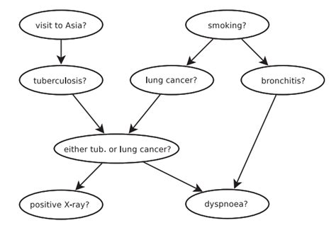 1 asia bayesian network structure download scientific diagram