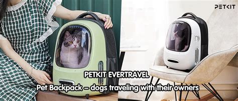 Pet Backpacks 101: Your Adventure Guide | Petkit Austrlia