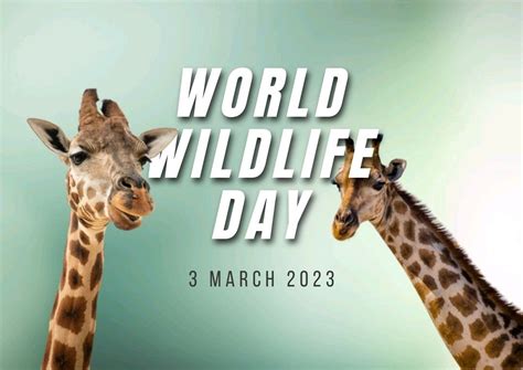 Evolving Management Solutions On Linkedin Worldwildlifeday