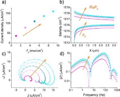 Simulated Steady State Current Density A Steady State Concentration