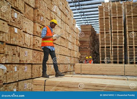 Lumber Yard Worker Salary At Cindy Ehrhardt Blog