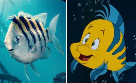 인어공주 Alishiaburhan