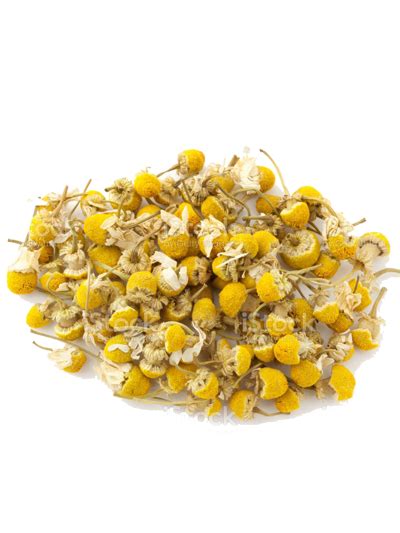 Chamomile Experts Herbs