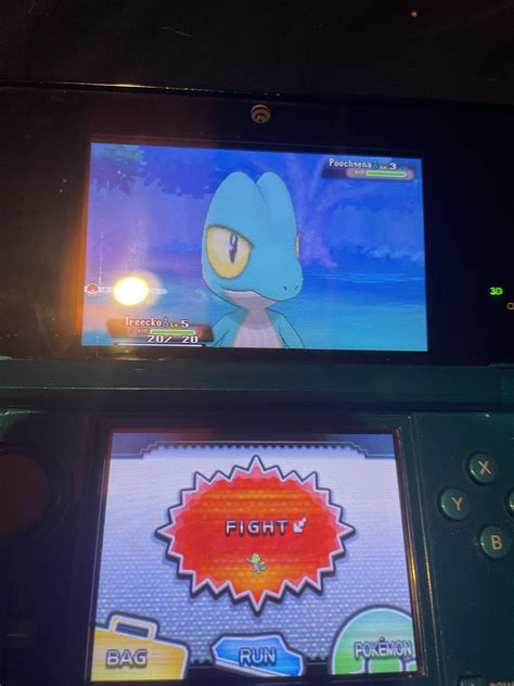 [gen 6] I Got Shiny Treecko R Shinypokemon