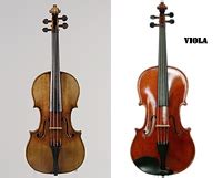 Difference Between Viola And Violin Difference Between