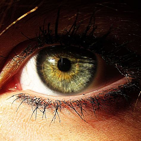 For Decades Ophthalmic Acid Oph Has Lingered In The Shadows Of Its