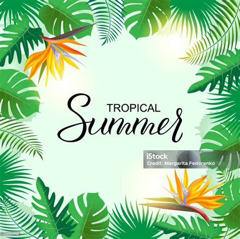 정글 식물 야자수 잎과 꽃 밝은 열 대 배경 벡터 이국적인 프레임 배경 손으로 그려진 된 열 대 여름 레터링 텍스트 0명에 대한 스톡 벡터 아트 및 기타 이미지 Istock