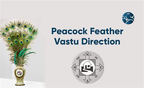 Peacock Feather Vastu Direction