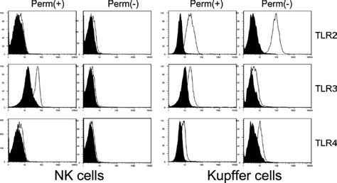 Detection Of Tlr Expression Intracellularly And On The Cell Surface Of Download Scientific