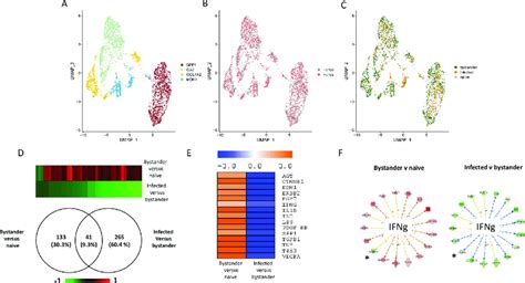 Single Cell Transcriptomic Analysis Of Tnbc Infected With Vv
