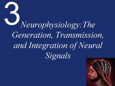 PPT Neurophysiology The Generation Transmission And Integration Of Neural Signals PowerPoint