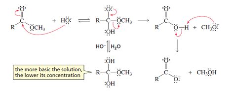 Organic Reactions — Hydroxide Ion Promoted Ester Hydrolysis