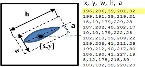 Sample Error Parameters Training Data Set Example Download
