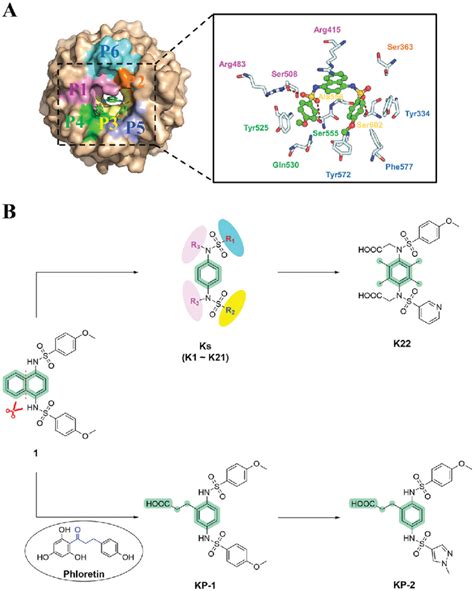 Design Of Novel Non Naphthalene Derivatives From Compound 1 A