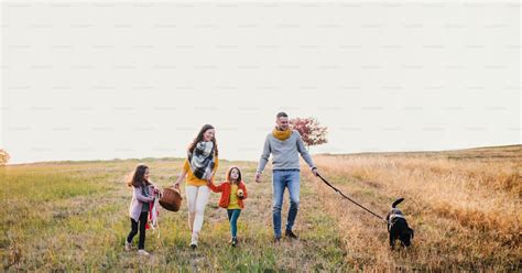 두 명의 어린 자녀와 검은 개가 가을 자연을 산책하는 젊은 가족 사진 Unsplash의 개 이미지