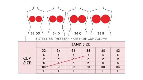 Breast Size Comparison Chart