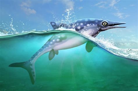 Ophthalmosaurus