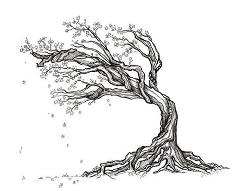 Ink Drawing Of A Branching Tree