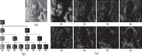 figure 2 from sparse image representations with shift invariant tree