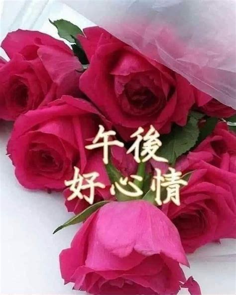 Pin von 莉莉 呂 auf 下午好 in 2024