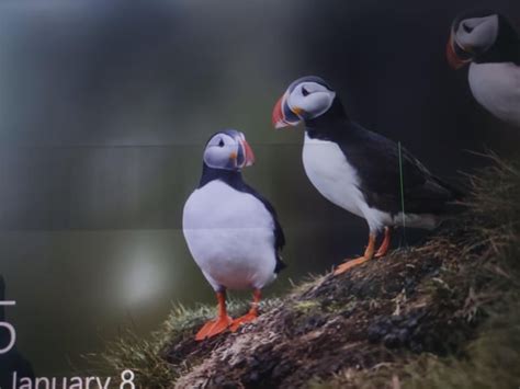 Inconsistent Dedicated Gpu Usage Causing Stuttering And Low Fps On