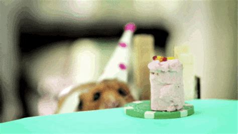 Belated 3rd Cakeday Open Till 27 August 4 Pm Mez Page 2