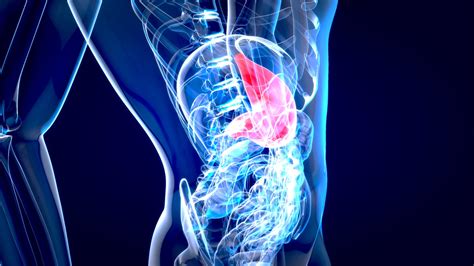 Кои се првите симптоми на замастен црн дроб Trn Mk