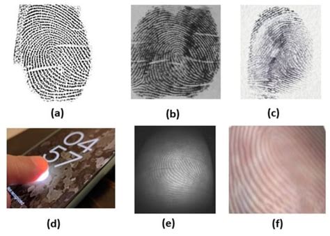 Fingerprint Systems Sensors Image Acquisition Interoperability And