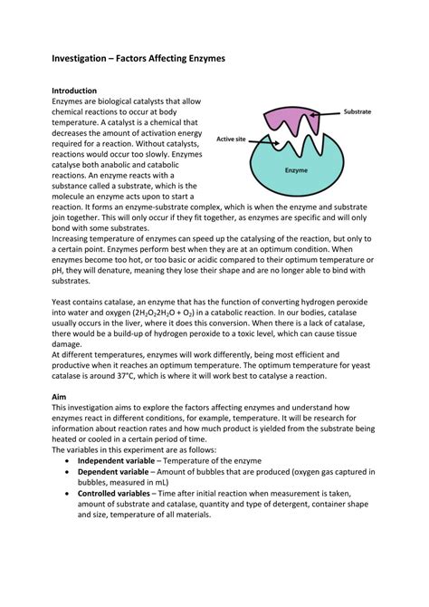 Human Biology Unit 1 Enzymes Investigation Human Biology Year 11