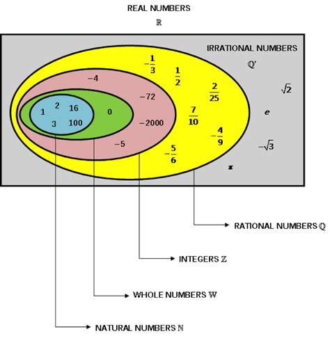 실수 체계 Real Number System