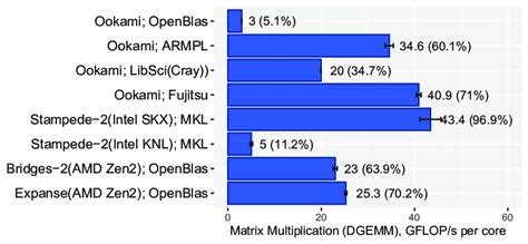 Double Precision General Matrix Multiplication Dgemm Floatingpoint