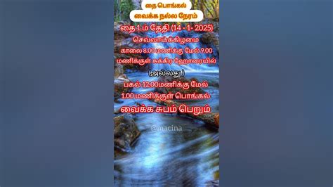 தைப் பொங்கல் வைக்க நல்ல நேரம் தைப் பொங்கல் பொங்கலோ பொங்கல் Youtube