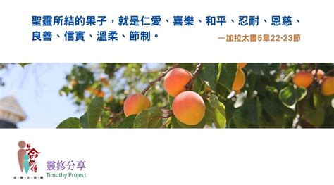 以果賣樹 21 5 Alayluya 哈利路亞