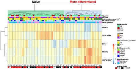hierarchical clustering of post transplant repertoires unsupervised