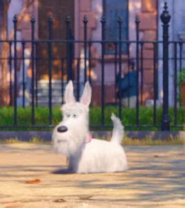 Secret Life Of Pets Character List