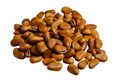 Brown Nuts Skyinn