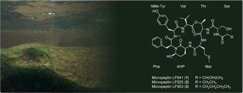 Beap Mar Diaries 02 Beap Mar Beap Mar