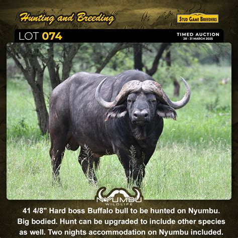 Nyumbu Wildlife Nyumbu Wildlife Added A New Photo