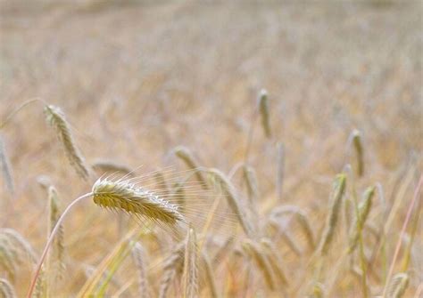 Using Lan And Wifi Simultaneously Networking Spiceworks Community