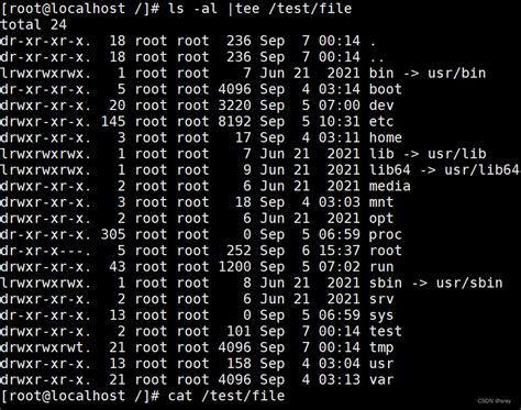 Linux系统管理与文件操作实战 Csdn博客