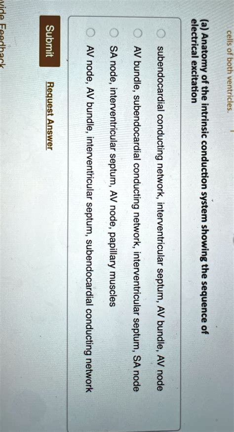 A Anatomy Of The Intrinsic Conduction System Showing The Sequence Of Electrical Excitation