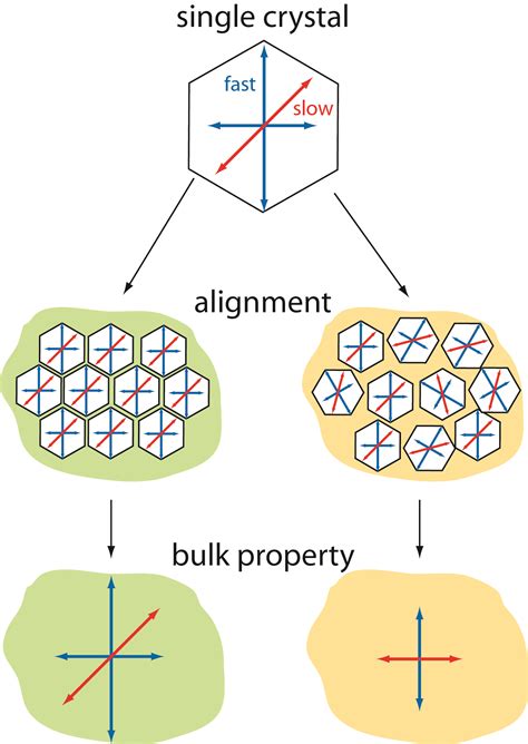 Core Alignment Vs Clad Alignment At Autumn Banks Blog